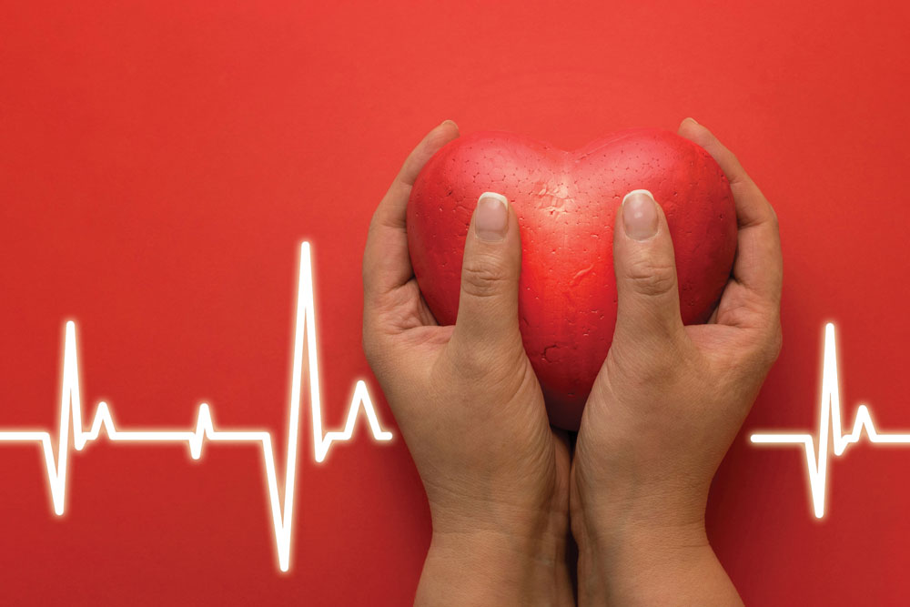 Don’t Wait for Heartbreak: Preventing or Reversing Cardiovascular Disease