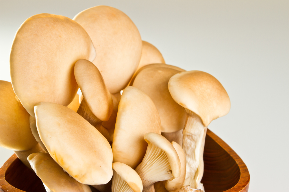 [Sponsored Content] Pleuran from Oyster Mushrooms: Uniquely Qualified ...